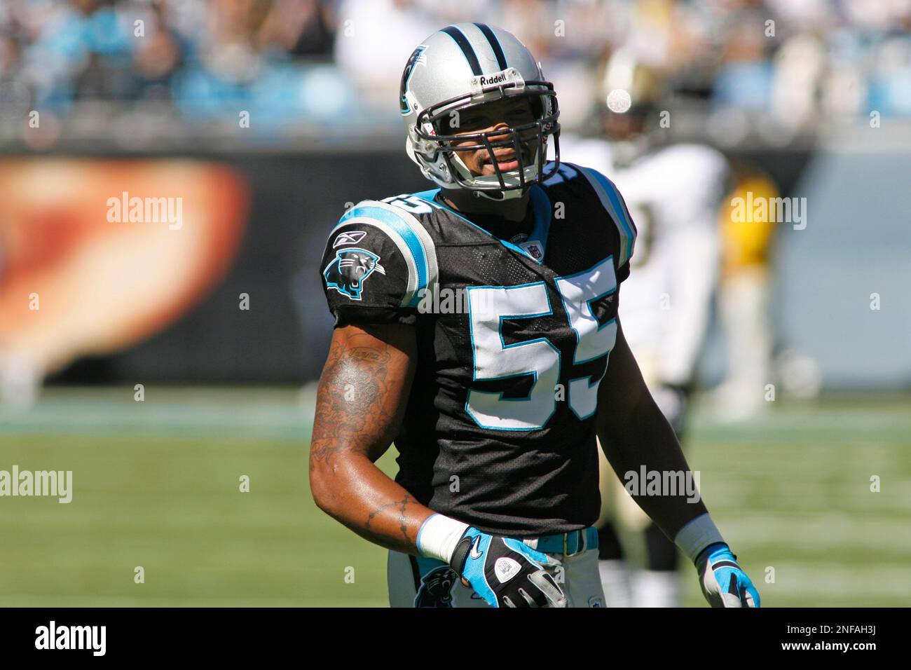 Carolina Panthers linebacker Donte Curry during an NFL football game ...