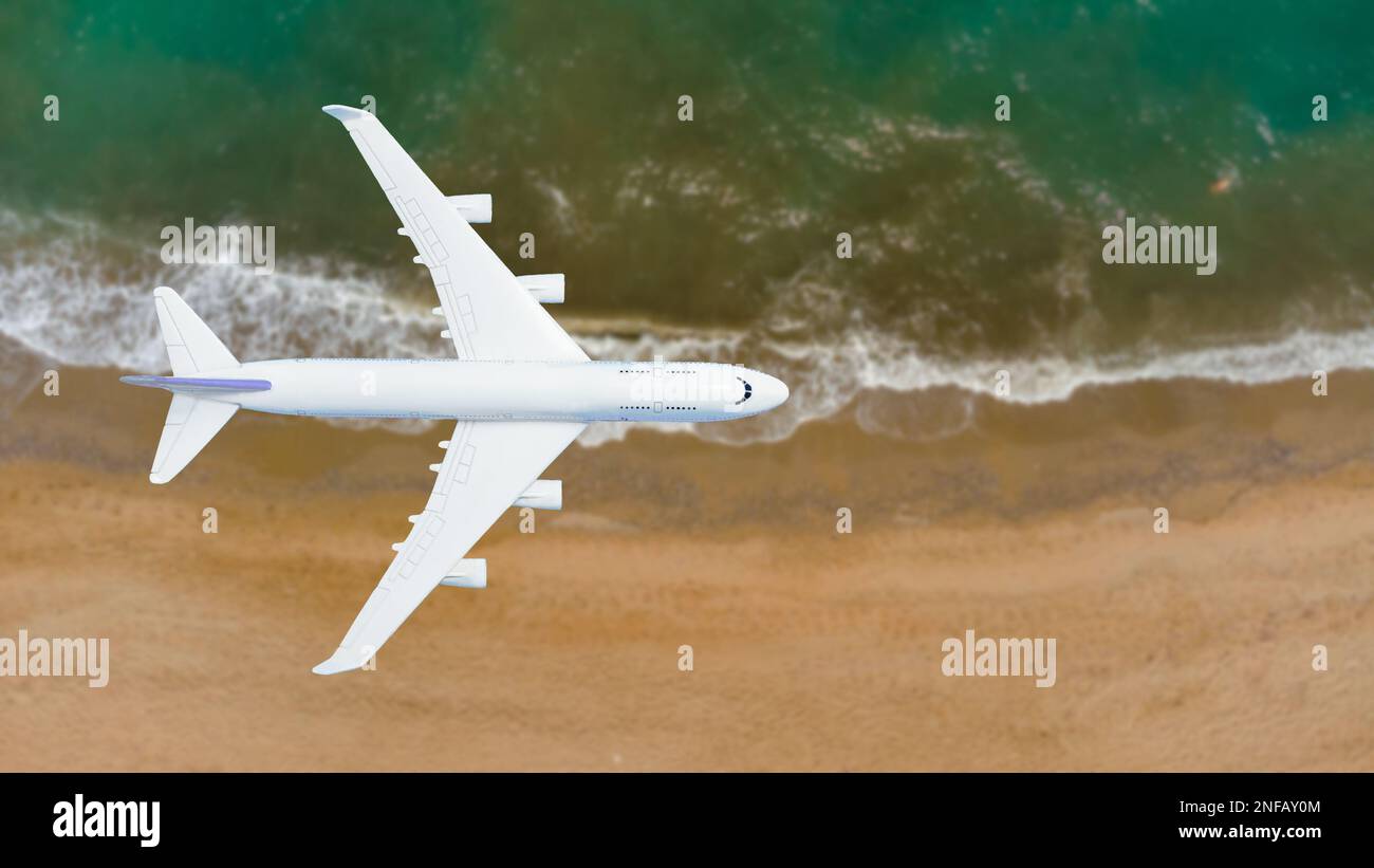 Airplane flying over beach with palm tree, white sand and turquoise ...