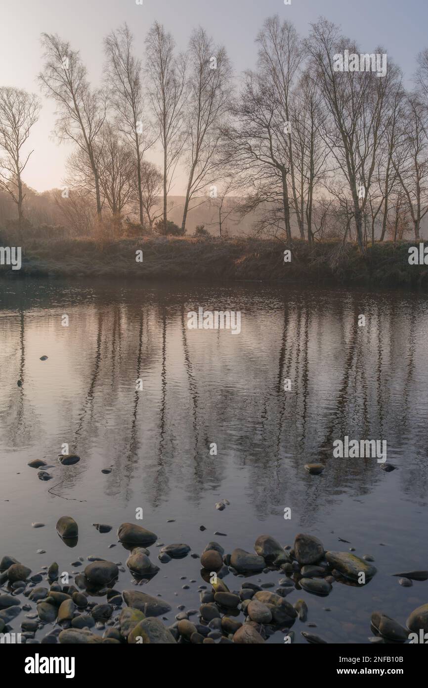 River South Tyne at Haltwhistle in winter Stock Photo - Alamy