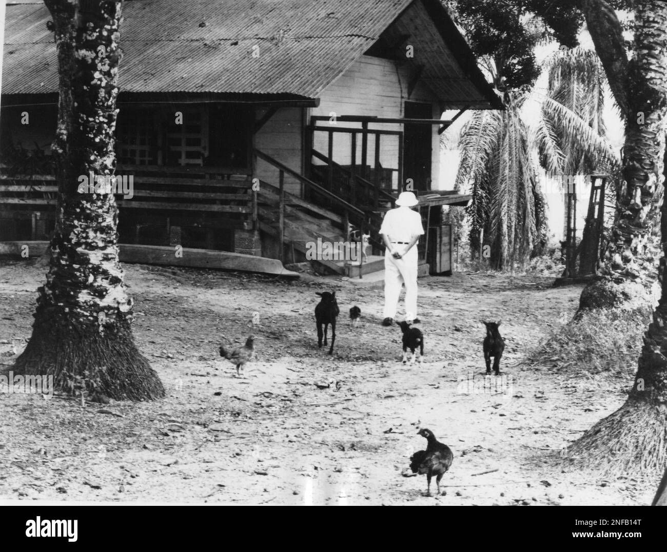 Dr albert schweitzer in gabon hi-res stock photography and images - Alamy