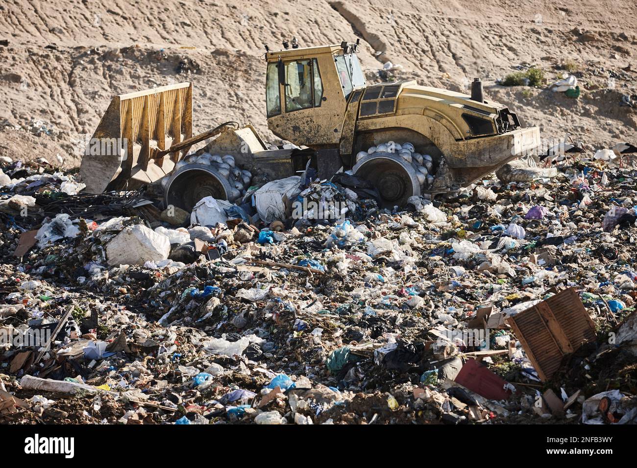 Heavy machinery shredding garbage in an open air landfill. Waste Stock ...