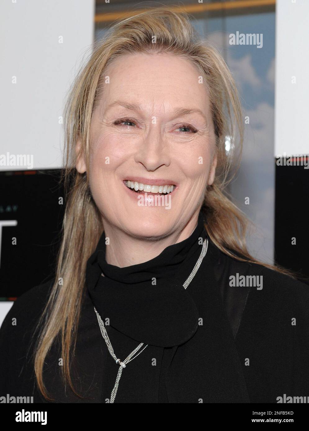 Actress Meryl Streep attends a premiere for 'Doubt' at the Paris ...