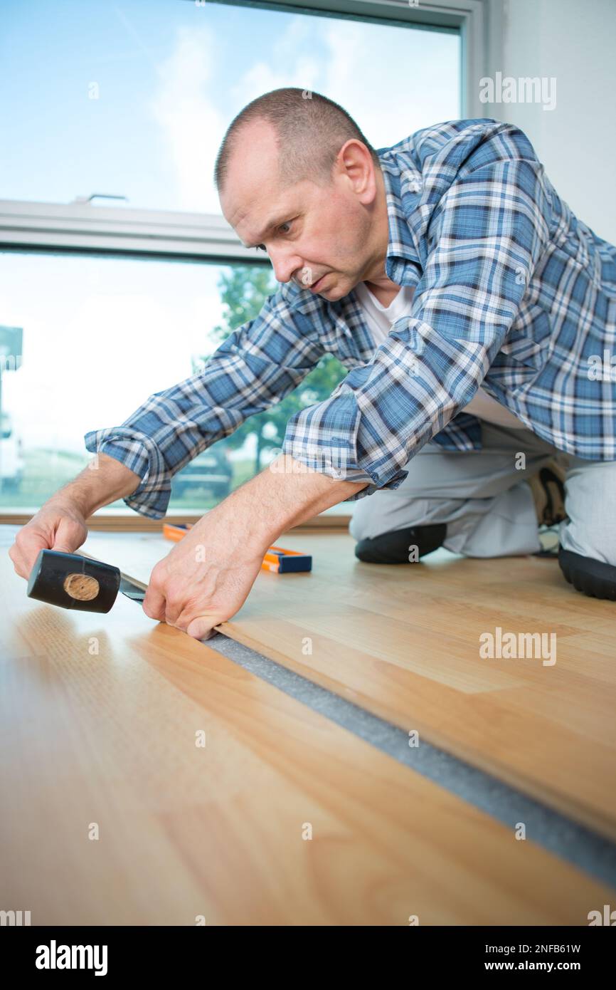 Man laying laminate flooring hi-res stock photography and images - Alamy