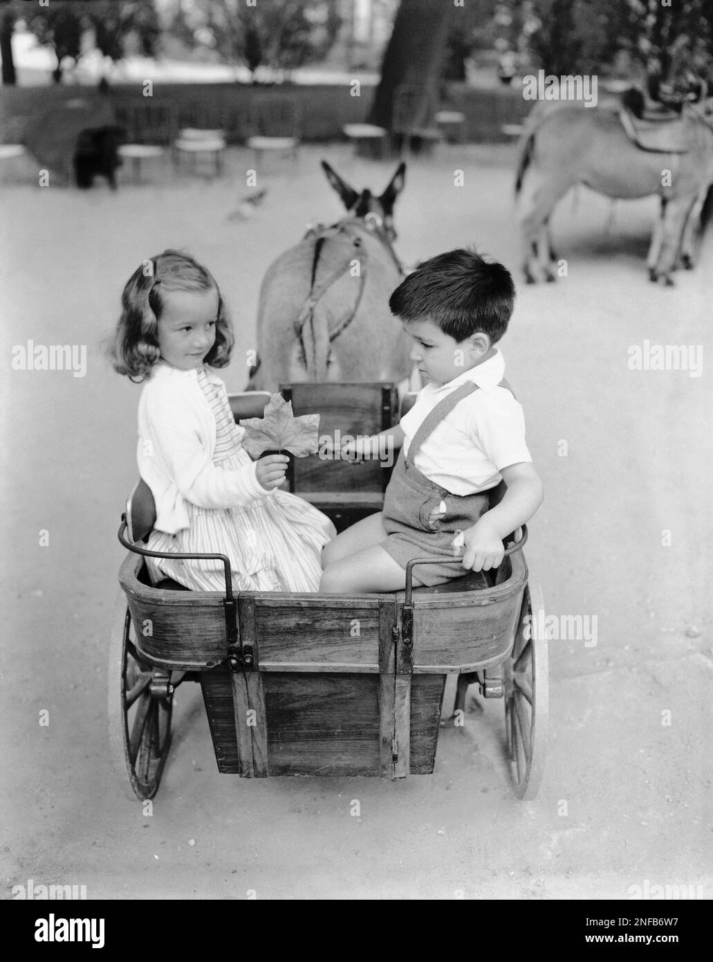 Two young unidentified passengers on a donkey cart at Champs Elysees ...