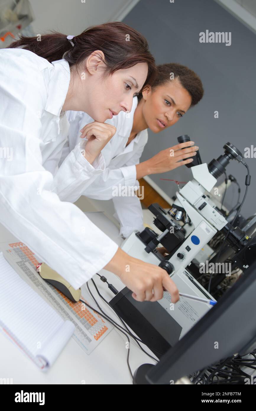 two young researchers carrying out experiments in a lab Stock Photo - Alamy