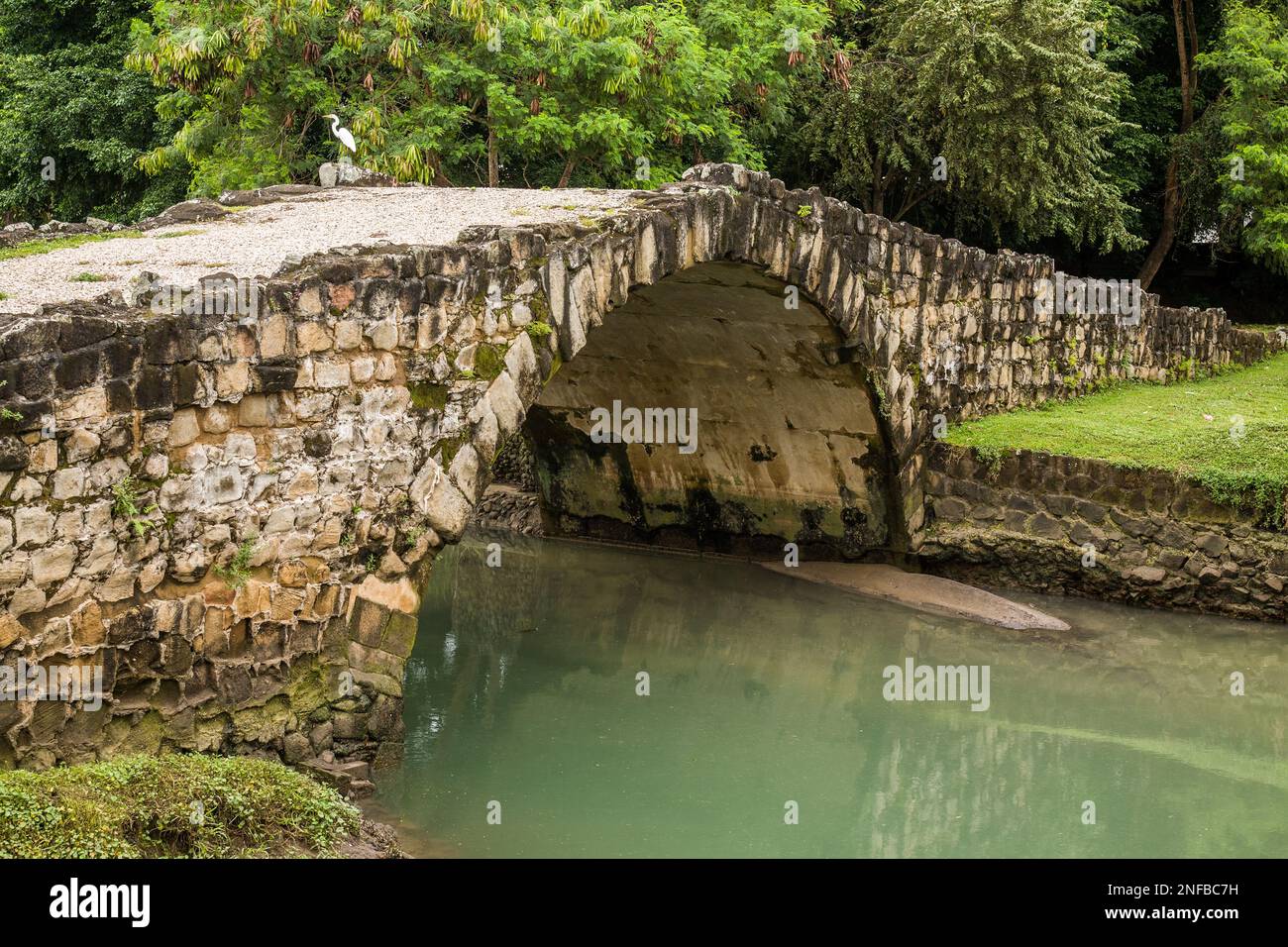 A Great Egret perches on the Puente del Rey, the King's Bridge, in the ...