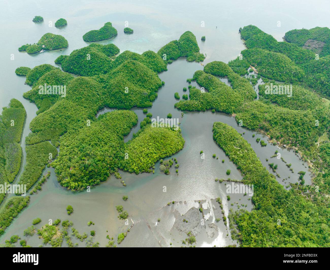 Tropical island in the cove. Clusters of islands in lagoons. Sipalay ...