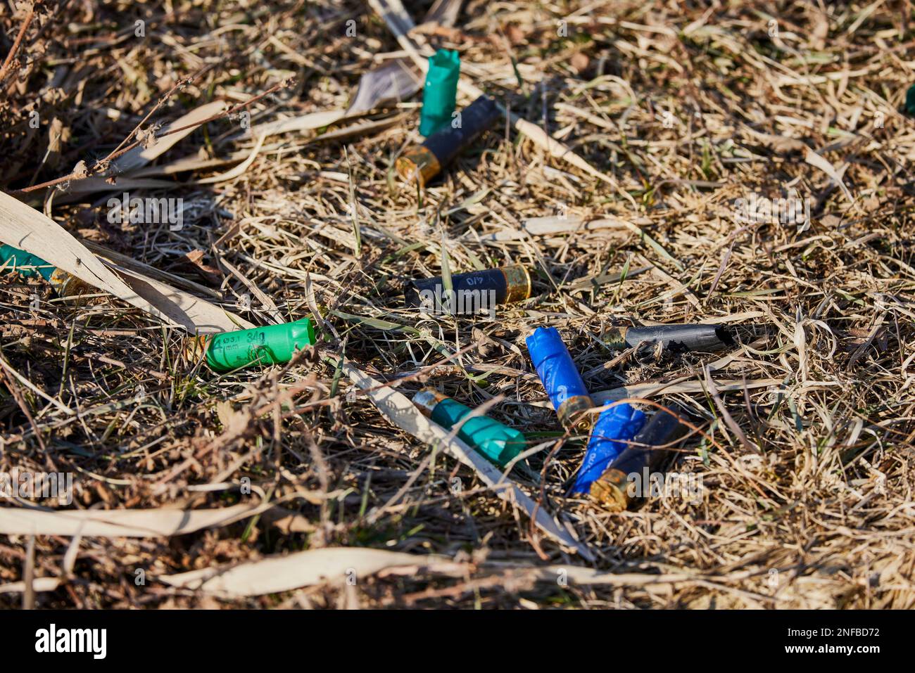 Empty cartridges in the grass from hunting guns Stock Photo - Alamy