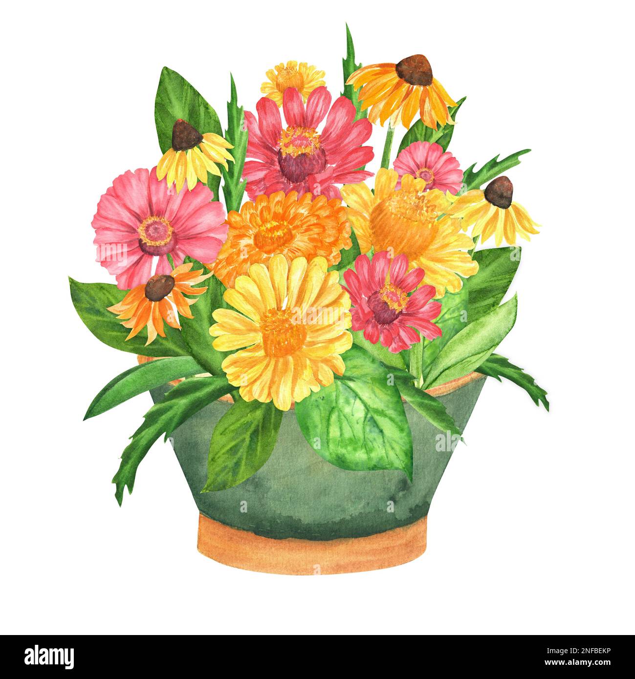 Potted Plants And Flowers Drawing