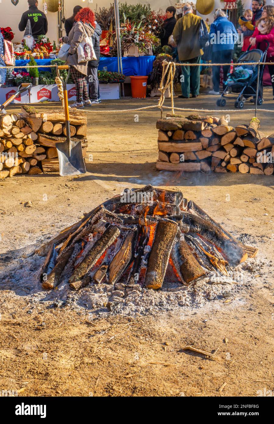 Start of big bonfire coming out smoke with wooden logs in a popular ...