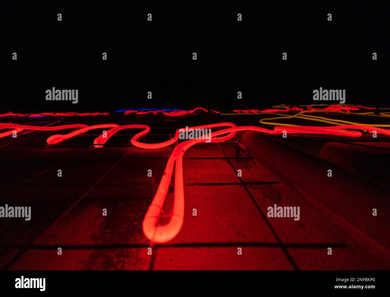 Illuminated letters and words made with neon lights and LEDs of many ...