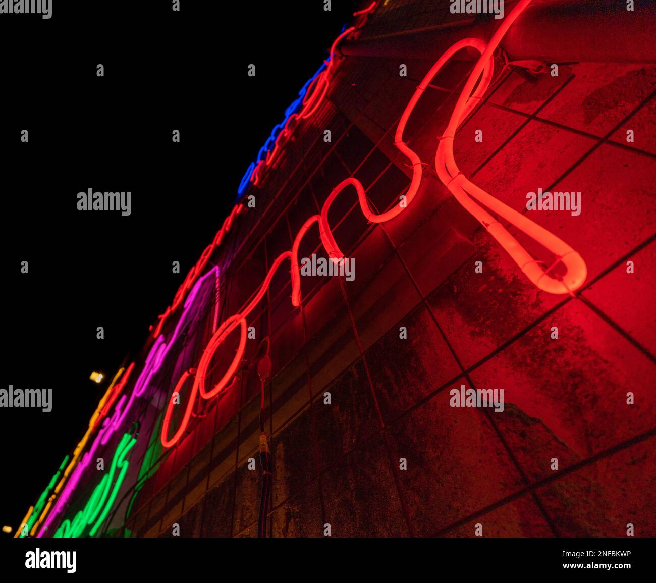 Illuminated letters and words made with neon lights and LEDs of many ...