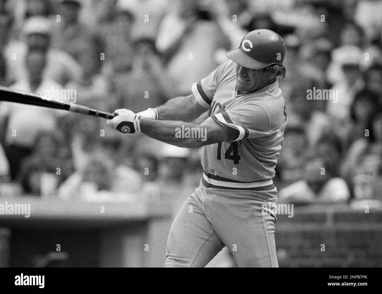 Cincinnati Reds Pete Rose connects in the fifth inning with his 4,191st ...