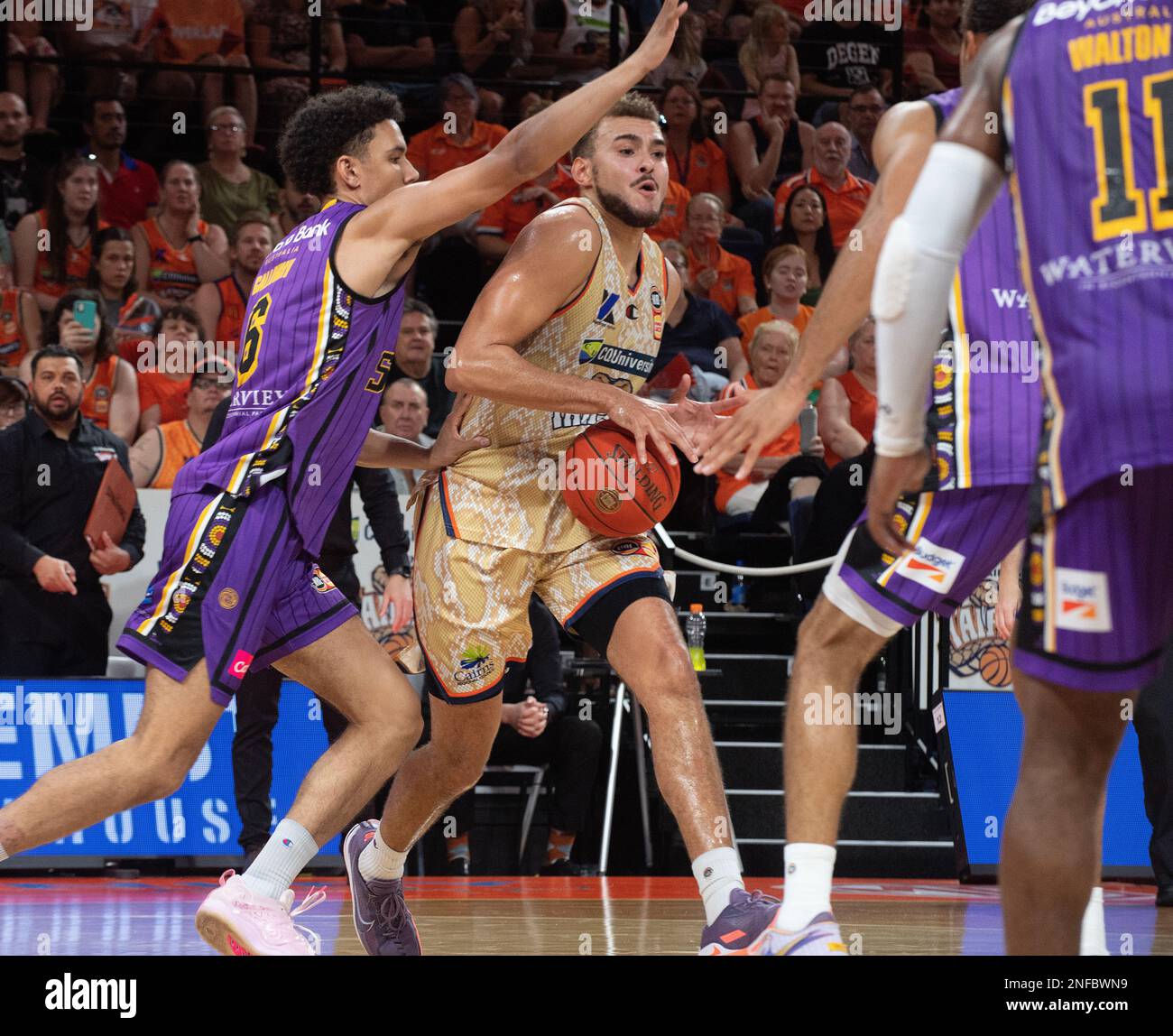 Taipans DJ Hogg during the NBL Playoffs Game 2 between the Cairns ...