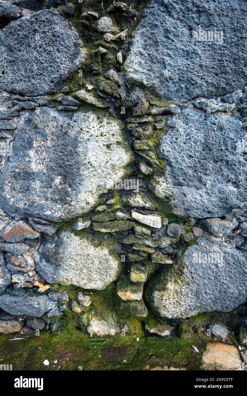 Environmental tenacity hi-res stock photography and images - Alamy