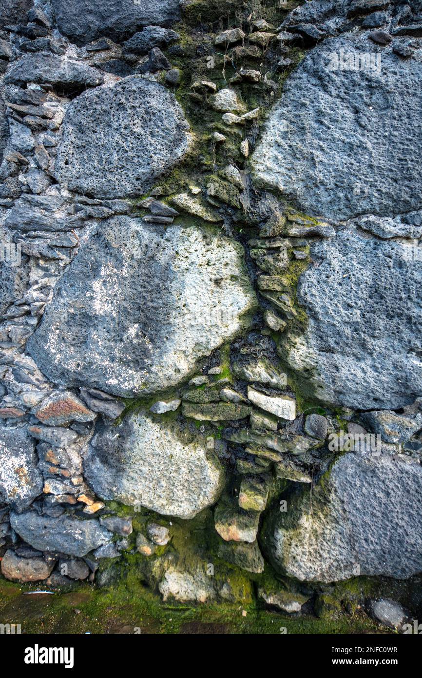 Environmental tenacity hi-res stock photography and images - Alamy