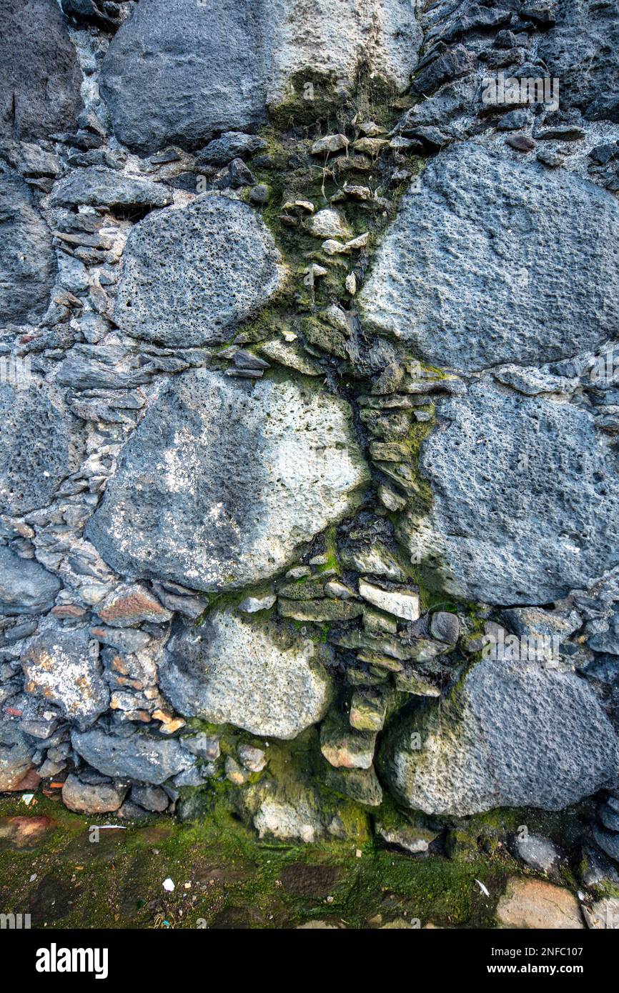 Environmental tenacity hi-res stock photography and images - Alamy