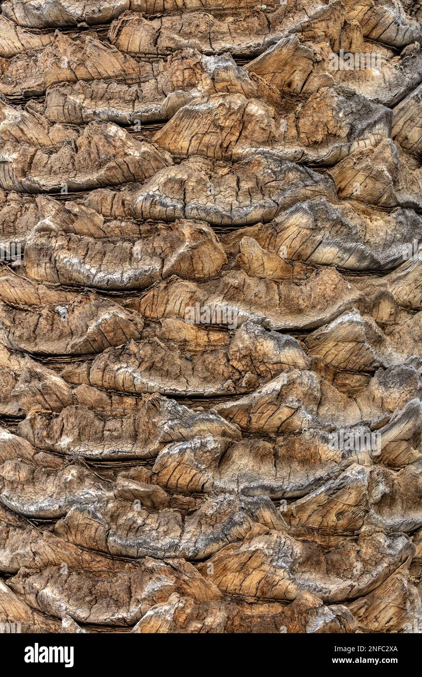 Natural environmental textures and patterns close-up found still life ...