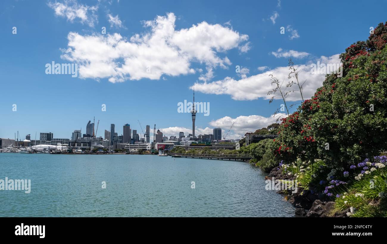 Auckland, New Zealand - December 28th 2022: The Sky Tower dominates the ...