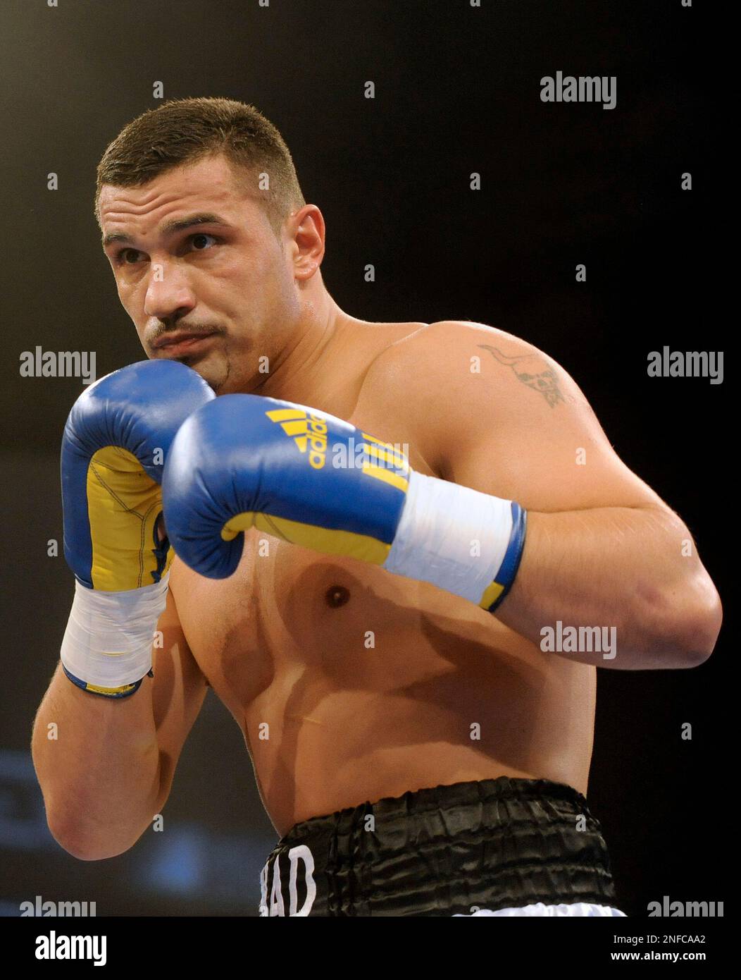 German cruiserweight boxer Enad Licina checks during his middleweight ...
