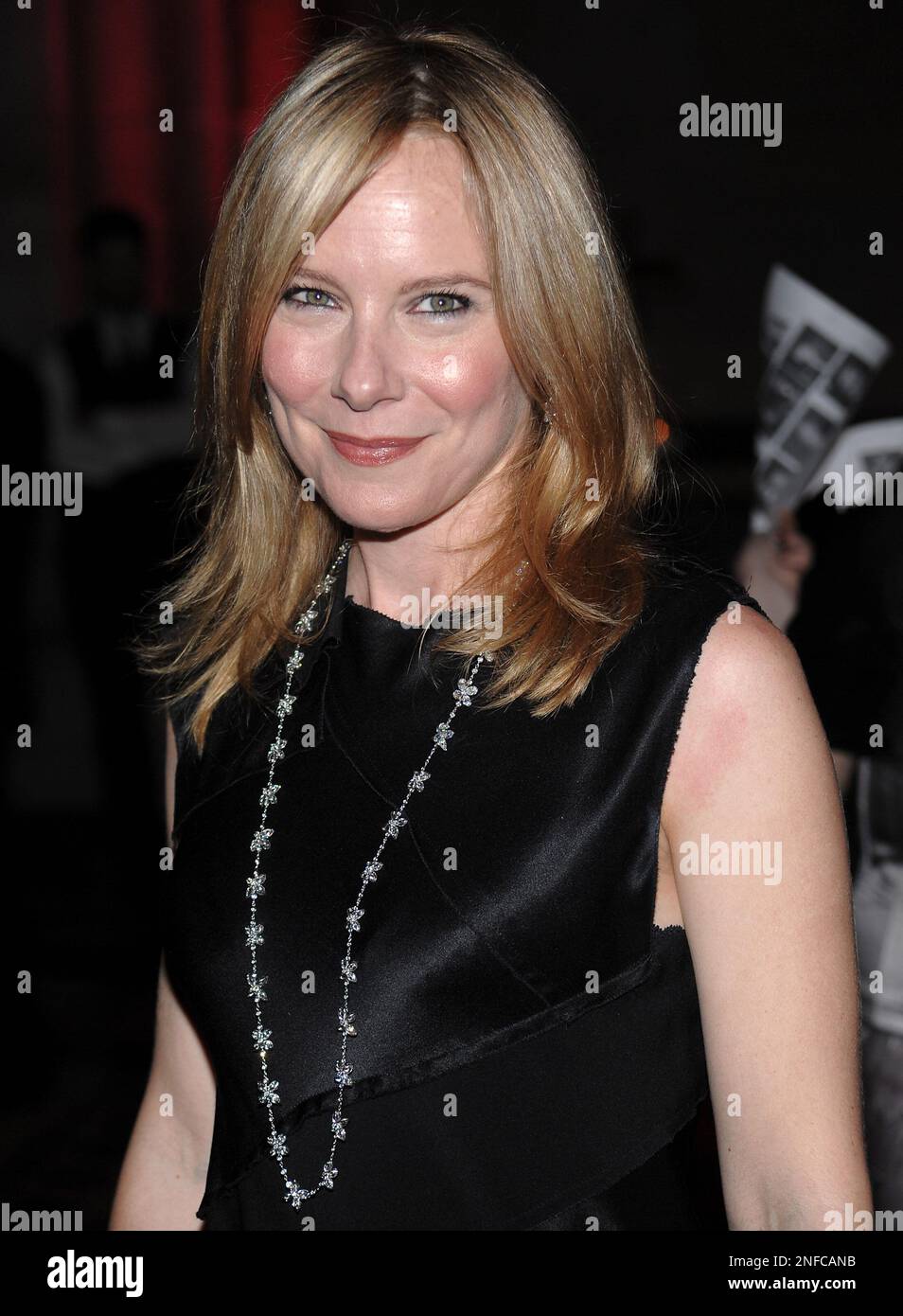 Actress Amy Ryan attends the Museum of the Moving Image Salute to Ben ...