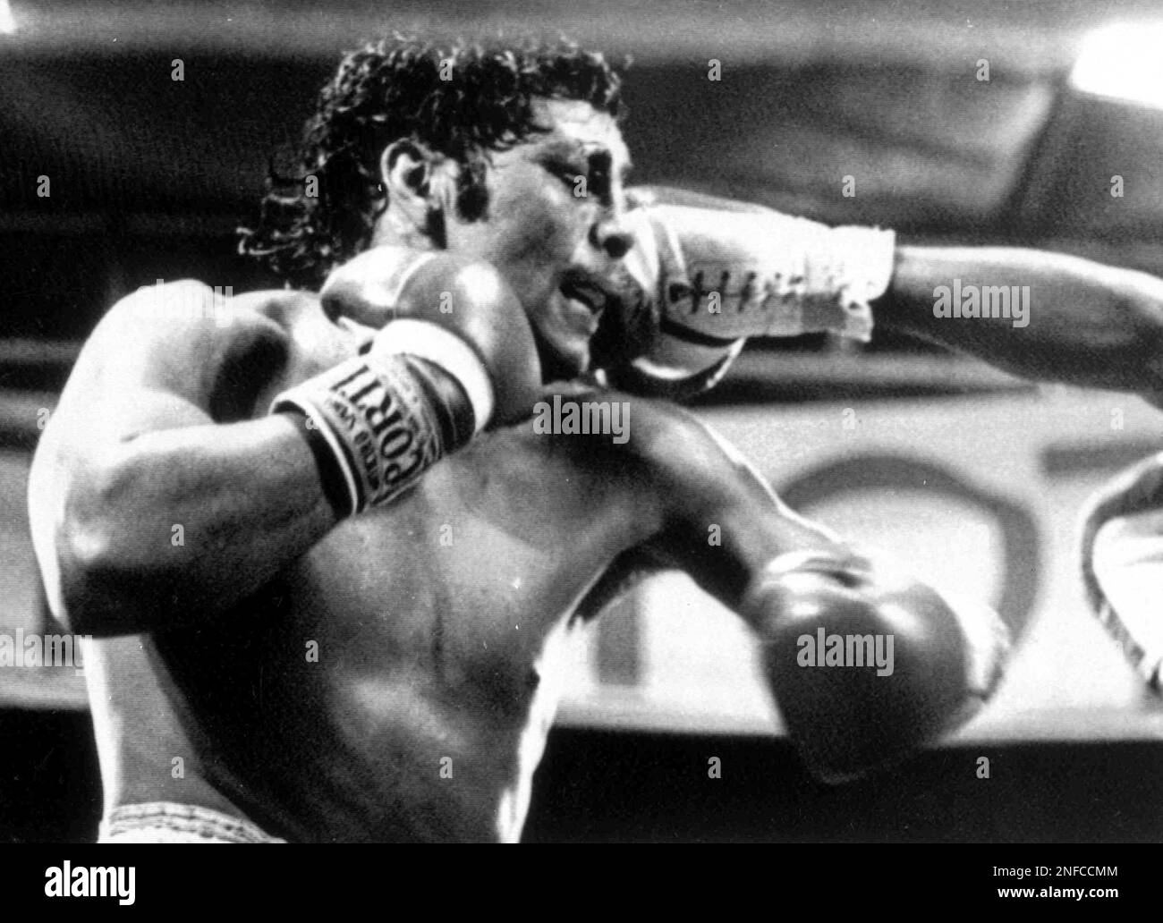 Argentinian Victor Galindez receives a punch to the head from American ...