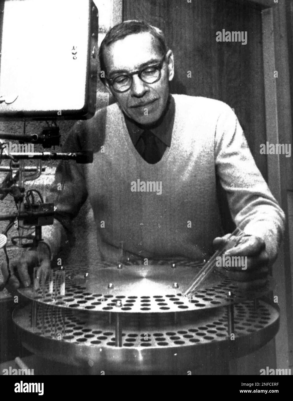 America's Dr Alfred D. Hershey working in his laboratory in Cold Spring ...