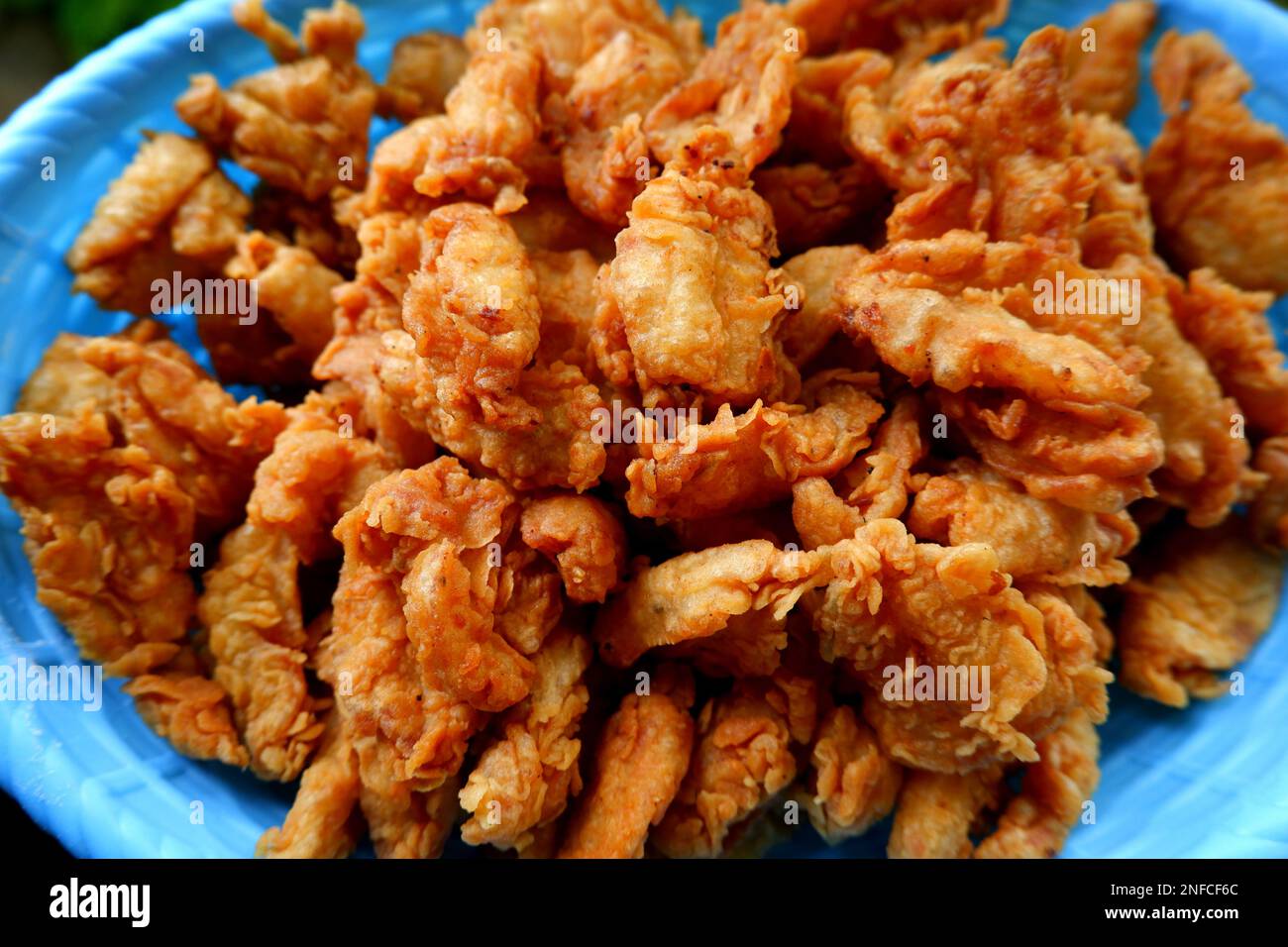 Food Of Fried Fish Flour, Which Is Served In A Briu Plastic Bowl, In ...