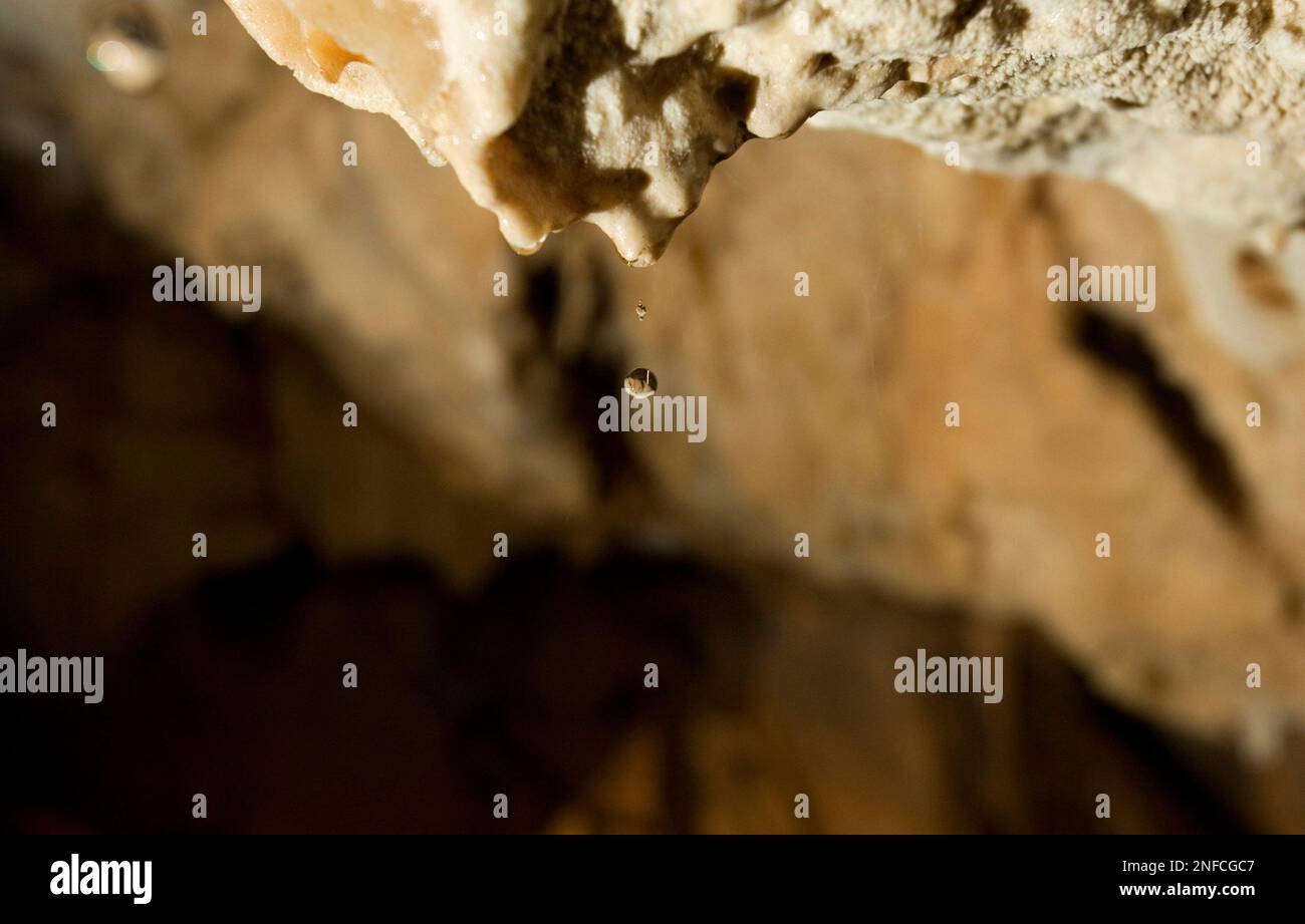 A drop of water falls from a rock formation on the ceiling of a cenote ...