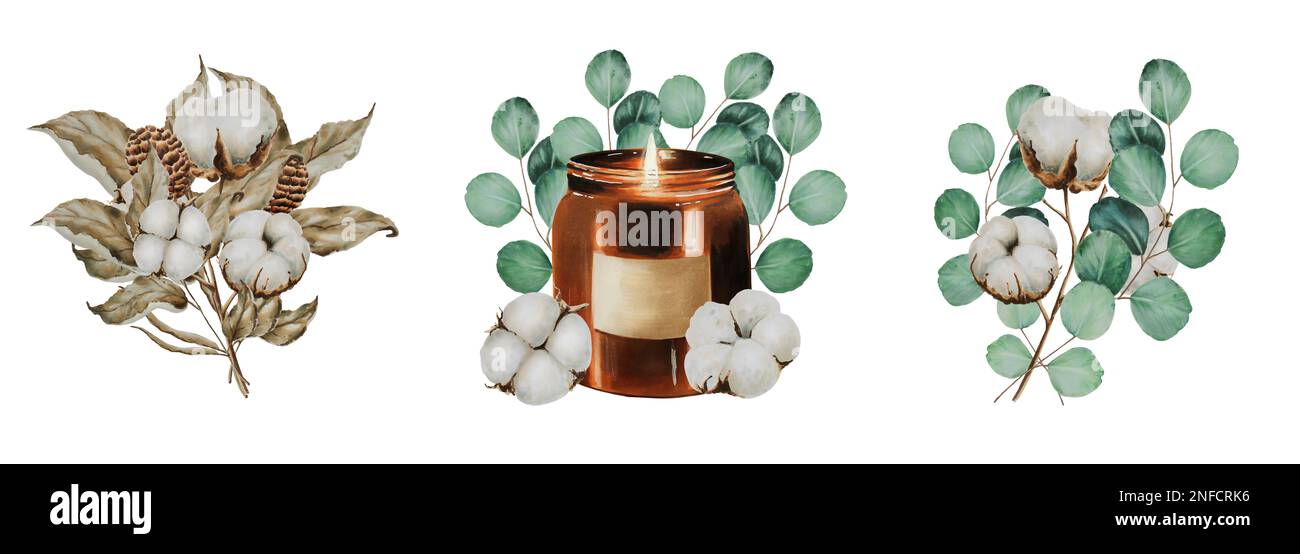 Watercolor compositions of candles and dried flowers, as well as ...