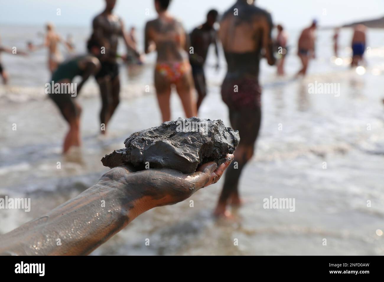 Dead Sea mud in Israel. Dead Sea mud handful. It has medicinal ...