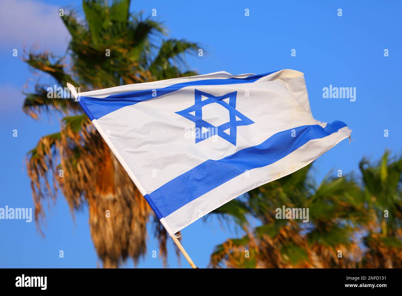 Flag of Israel in the wind. Israeli national colors Stock Photo - Alamy