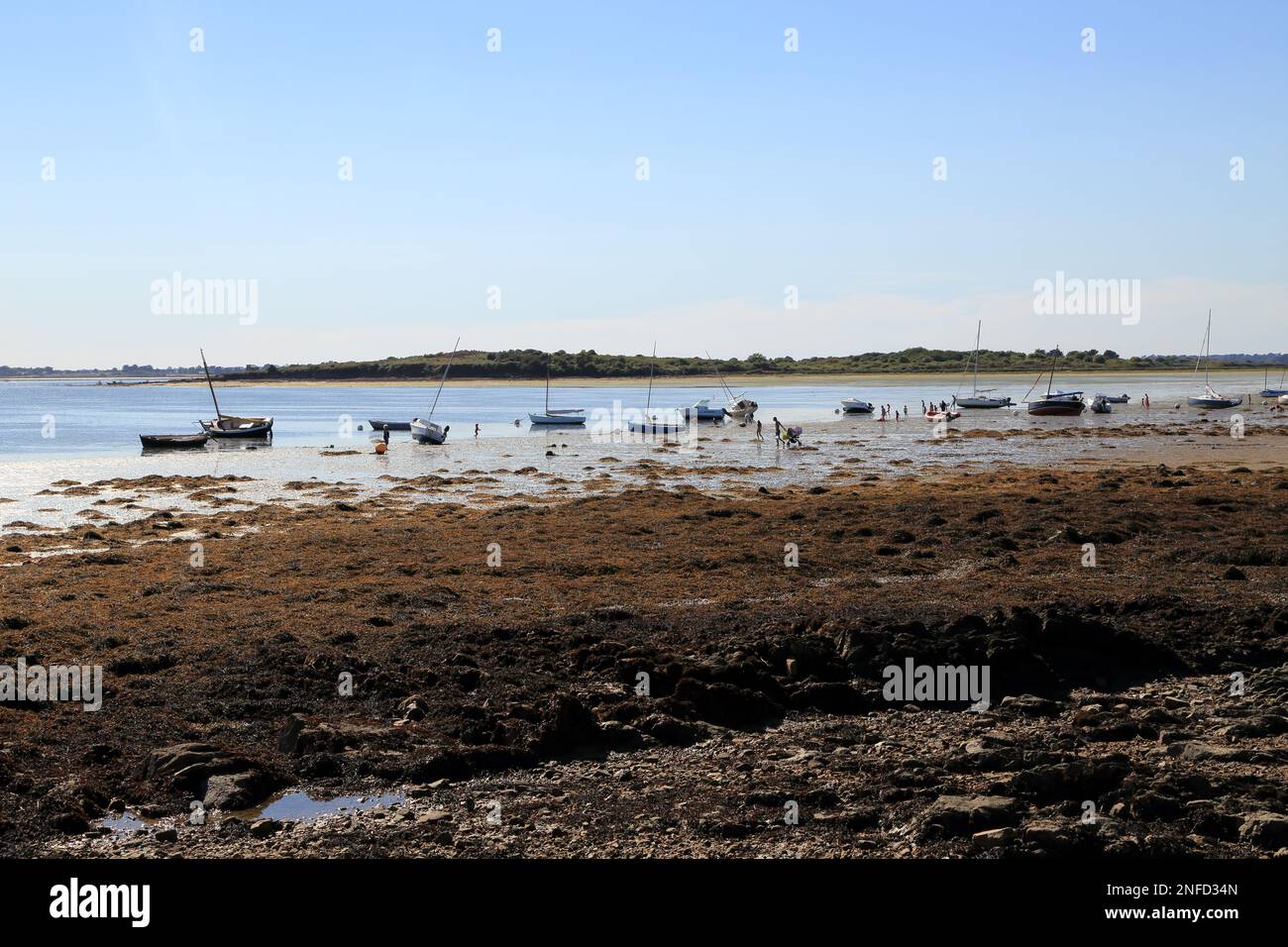 Plage de mousterian hi-res stock photography and images - Alamy