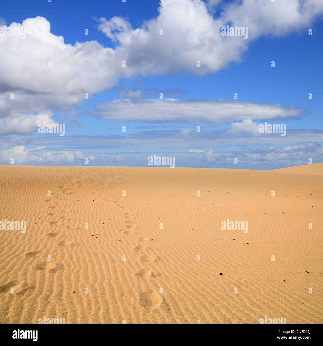 Taboga tourism hi-res stock photography and images - Alamy