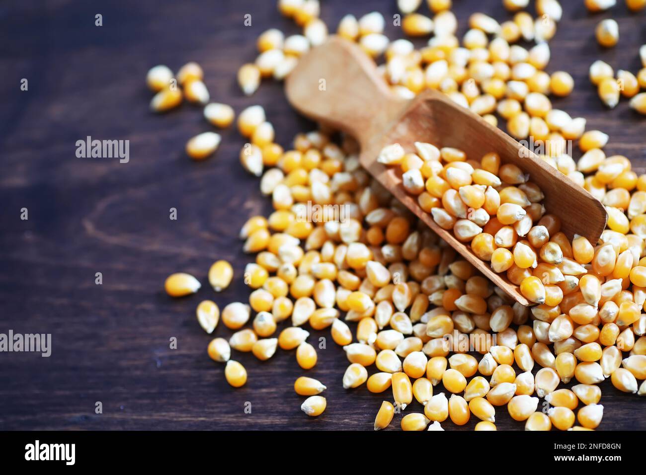 Group of yellow raw corn kernels sweet corn. Grain seeds ingredient ...