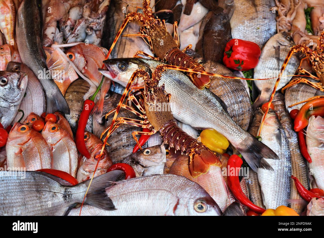 Morocco fish market in Essaouira. Variety of fish species from African ...