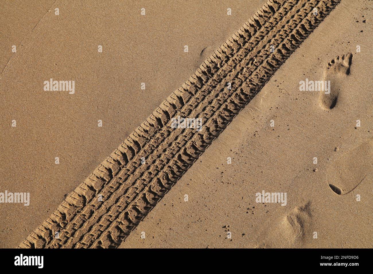 Car tyre tracks on beach sand in Morocco Stock Photo - Alamy