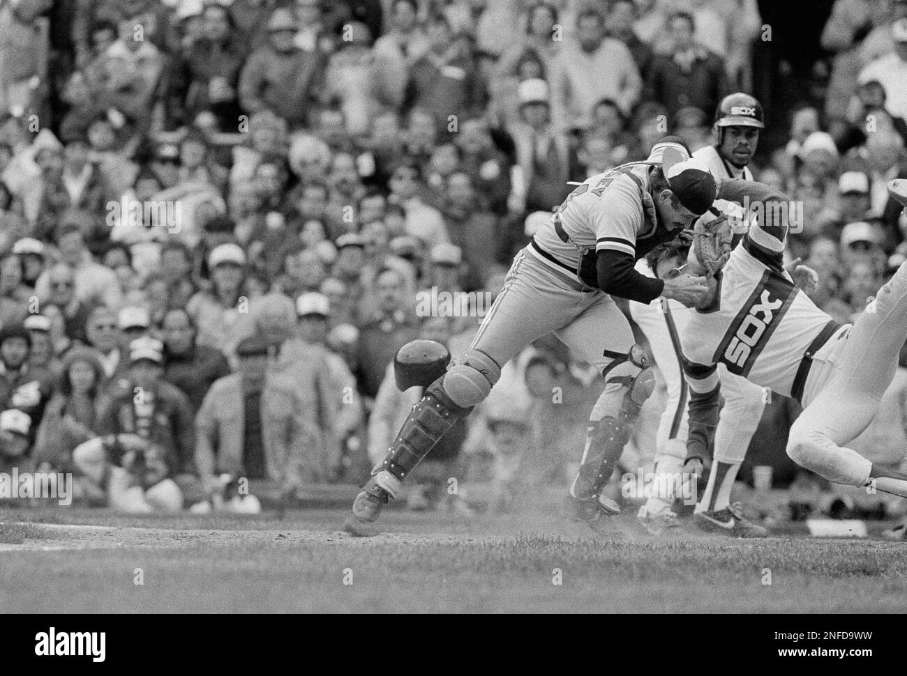 Baltimore Orioles catcher Rick Dempsey, left, dumps Chicago White Sox ...