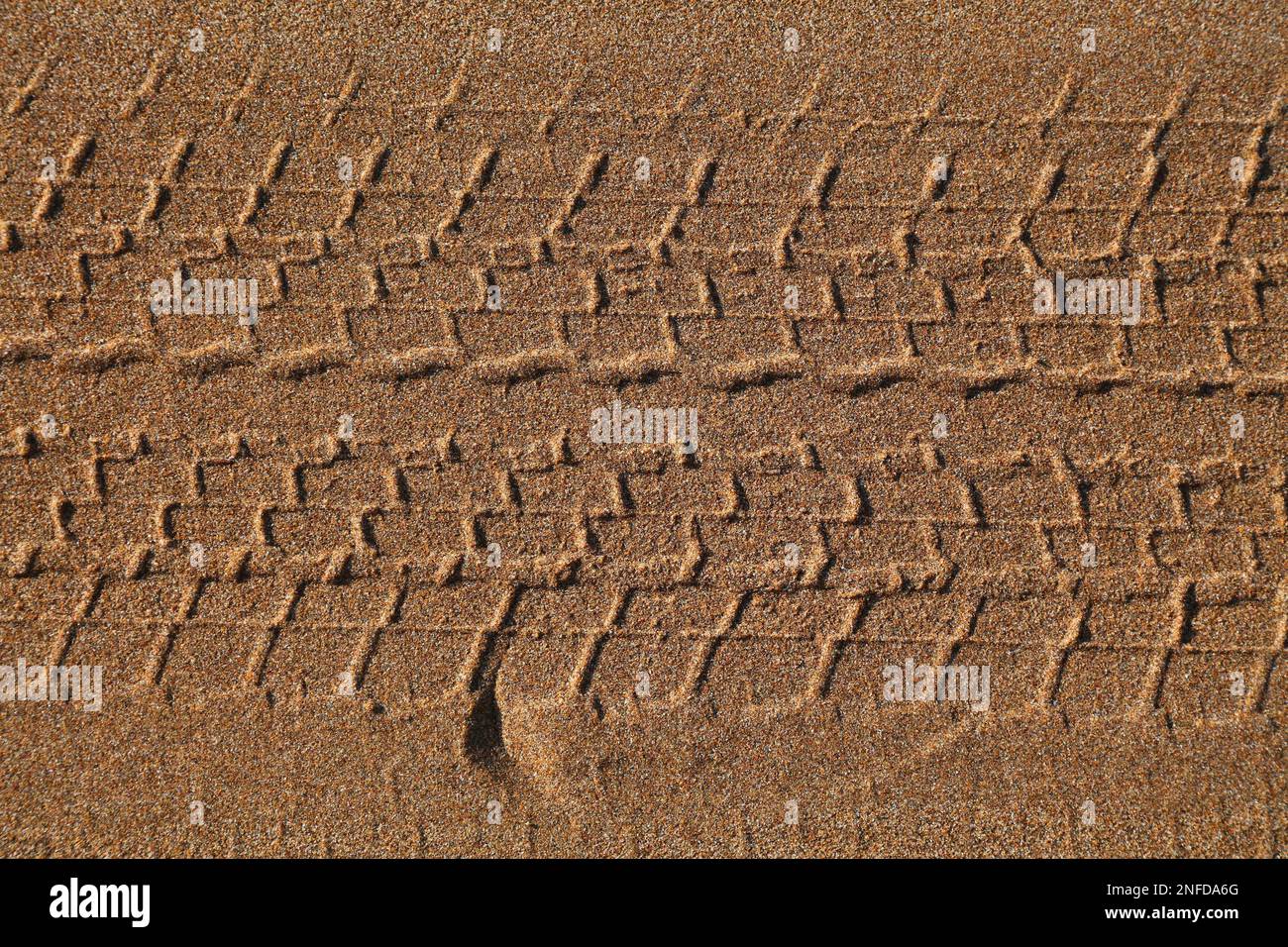 Car wheel track on beach sand in Morocco Stock Photo - Alamy