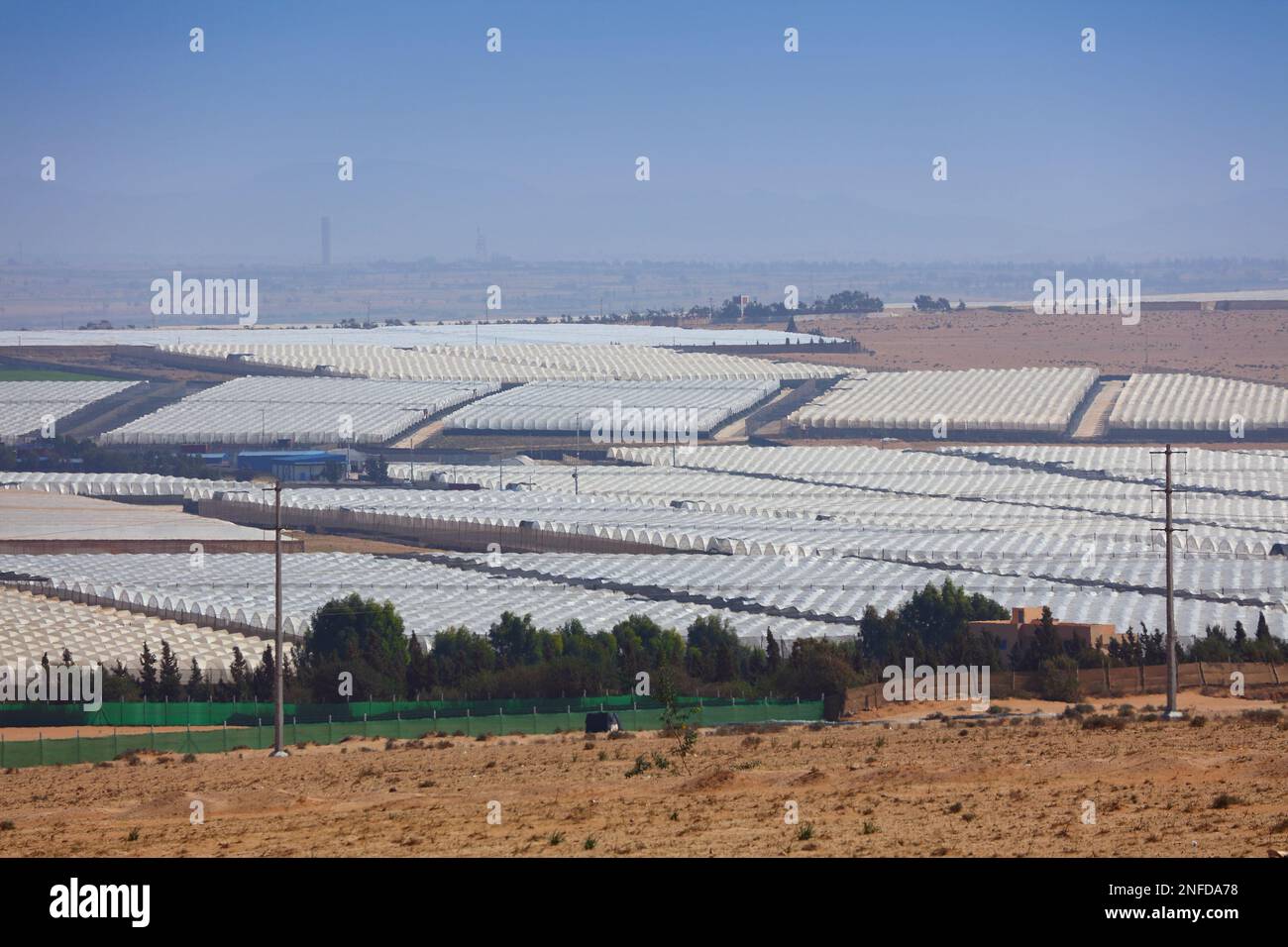 Large scale greenhouse plantations in Morocco. Tomato, raspberry and ...