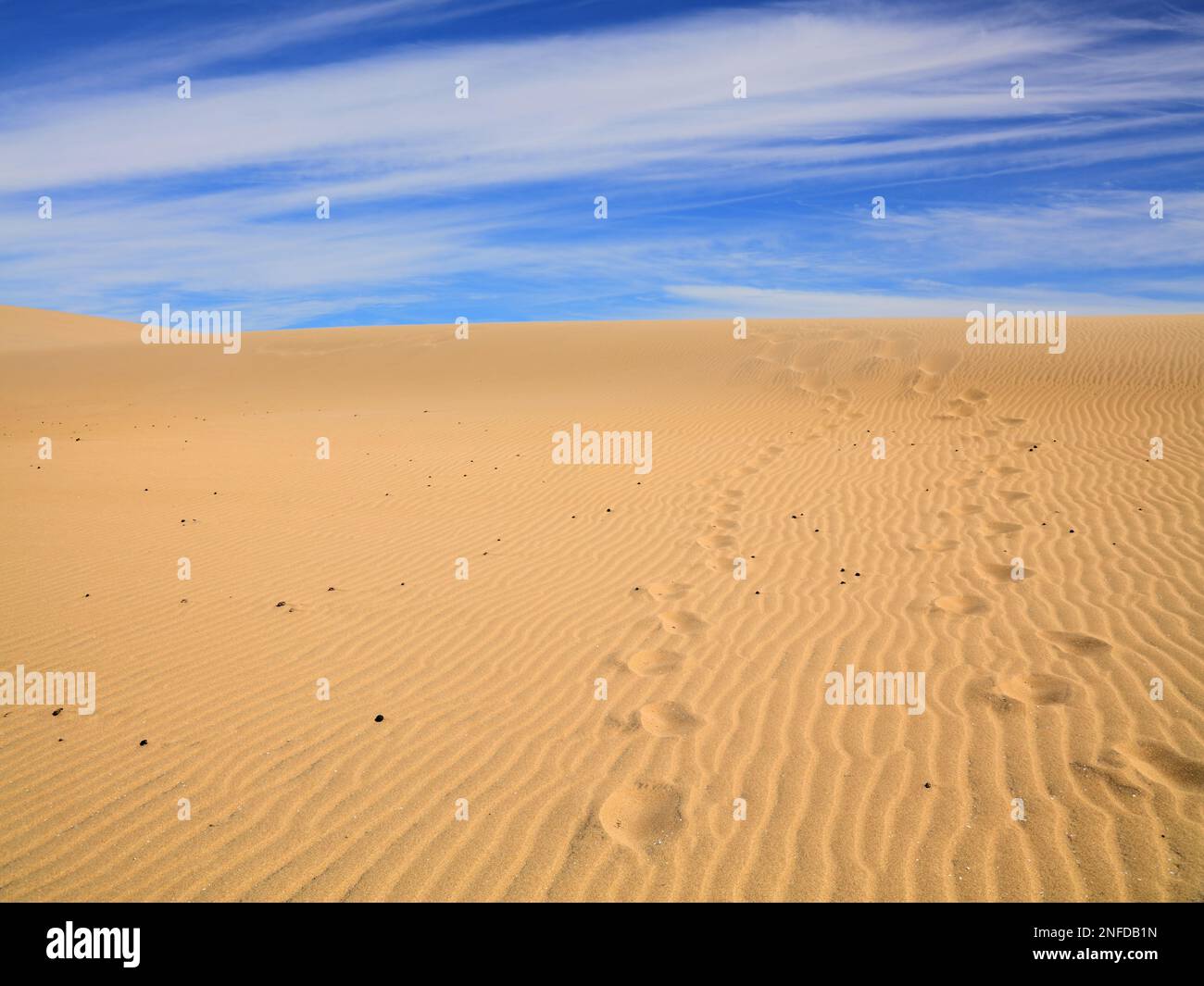 Taboga tourism hi-res stock photography and images - Alamy