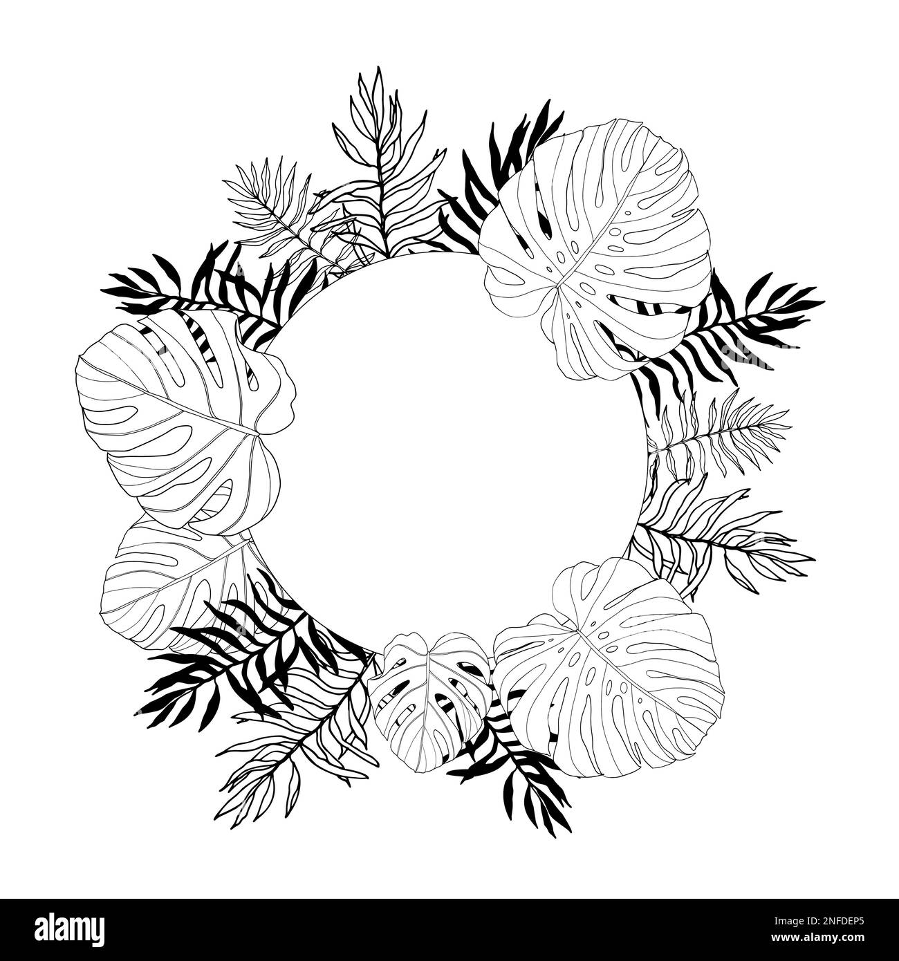 Jungle Border Black And White