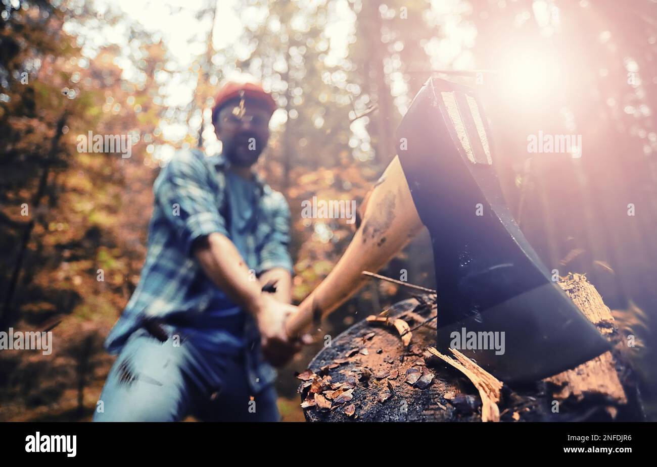 Male worker with ax chopping a tree in the forest Stock Photo - Alamy