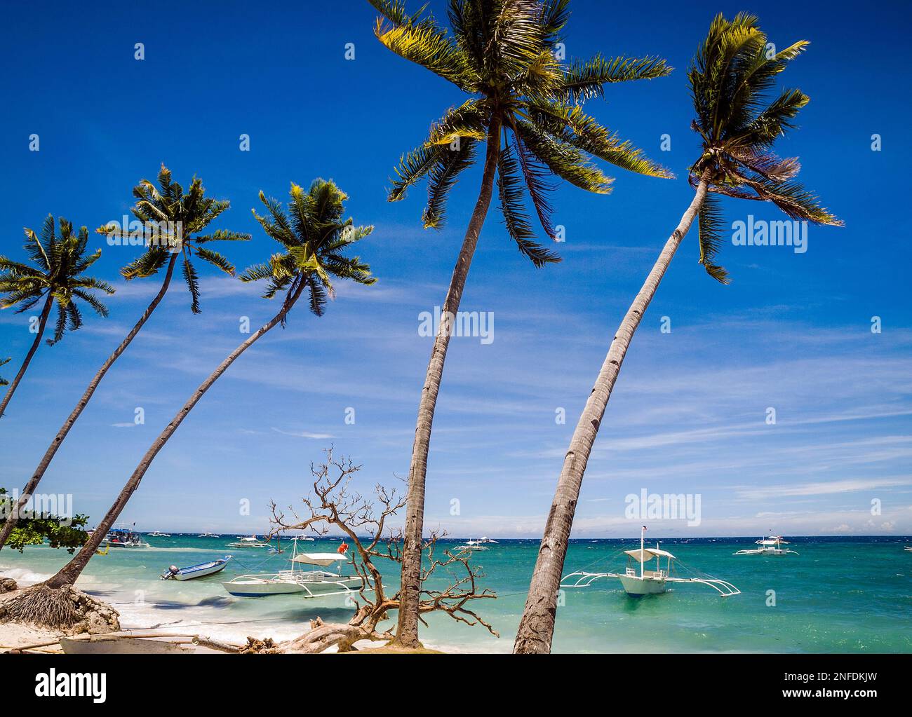Alona beach paradise scene, Panglao Island, Bohol, Philippines Stock ...