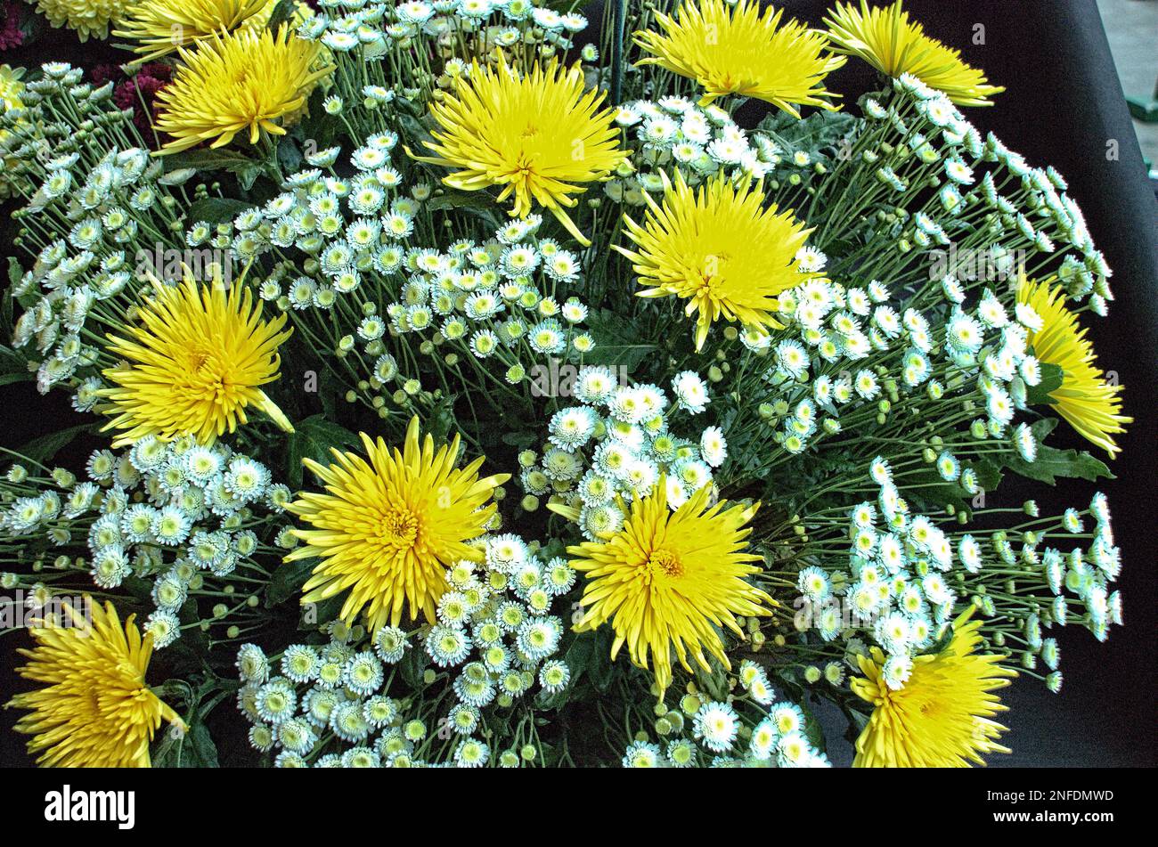 Colour matching, colour blending & patterns are important when ...