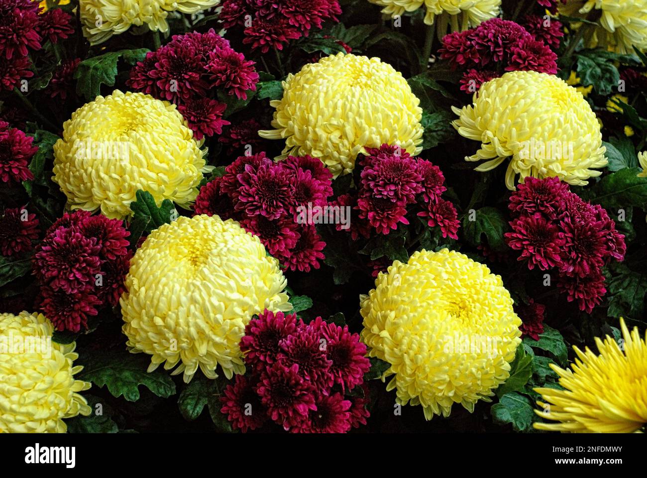 Colour matching, colour blending & patterns are important when ...