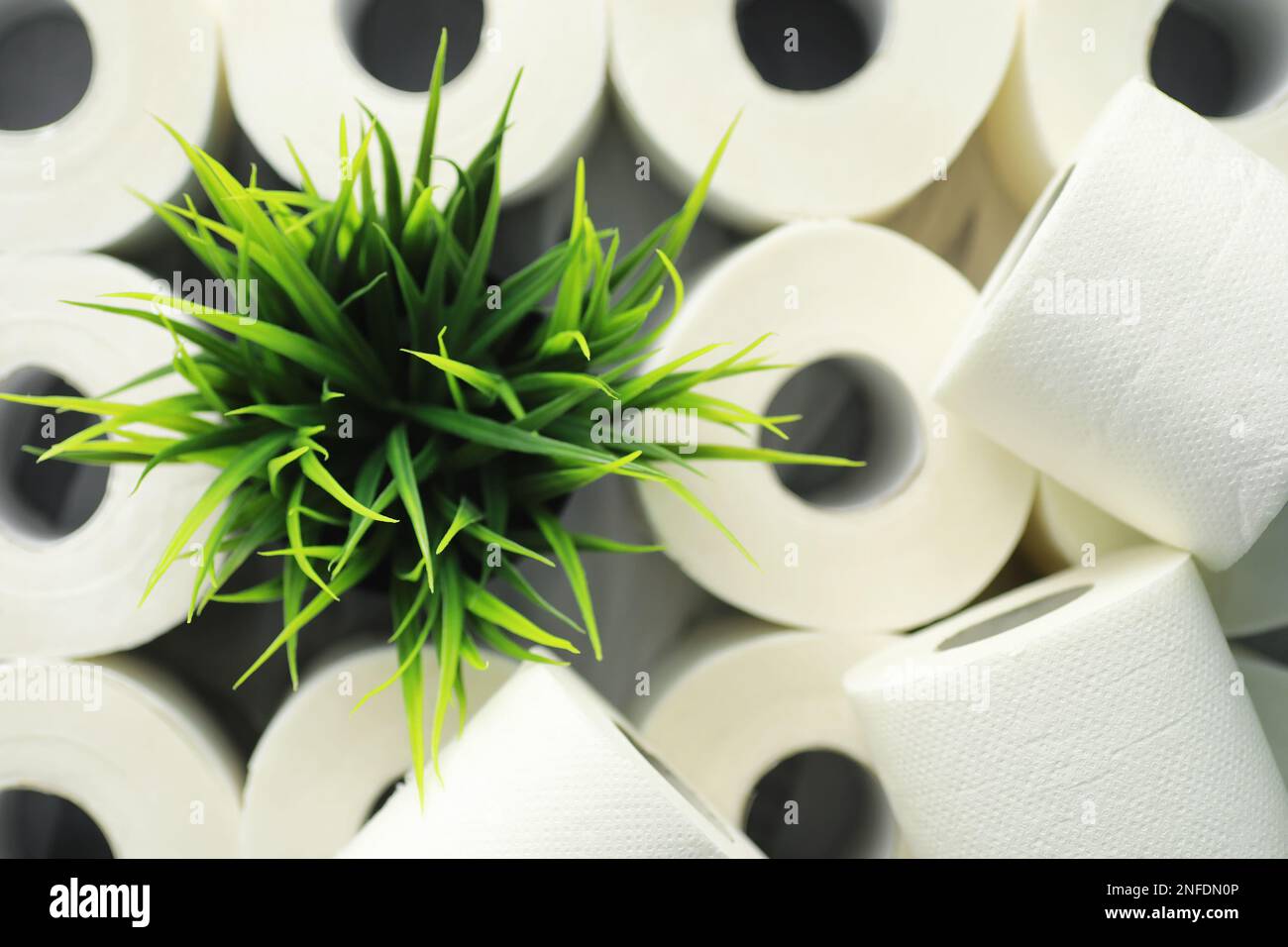 Toilet paper in a roll. Snow-white soft three-layer toilet paper. Lack ...