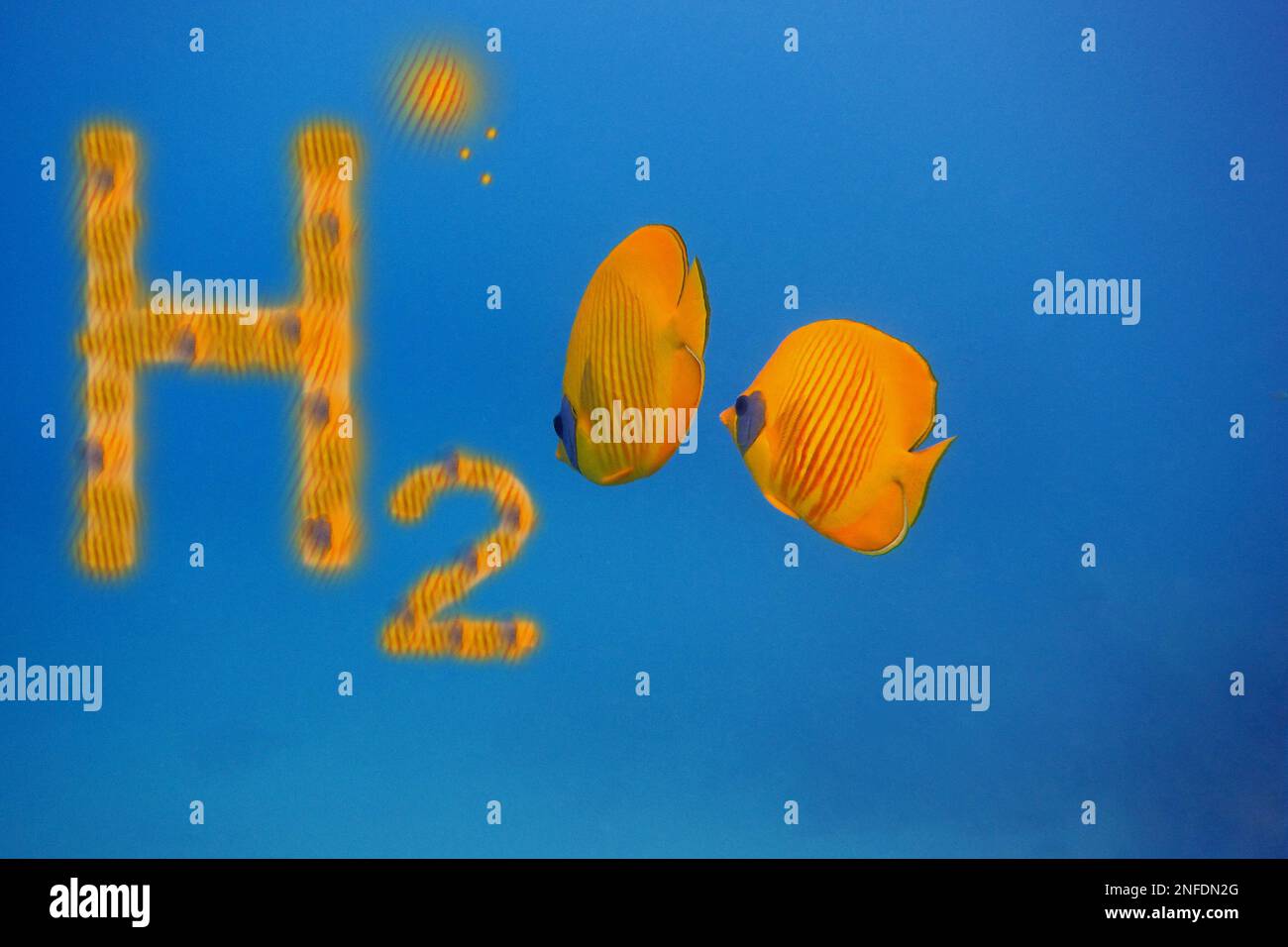 3D illustration renewable pure energy orange h2 hydrogen and two orange ...