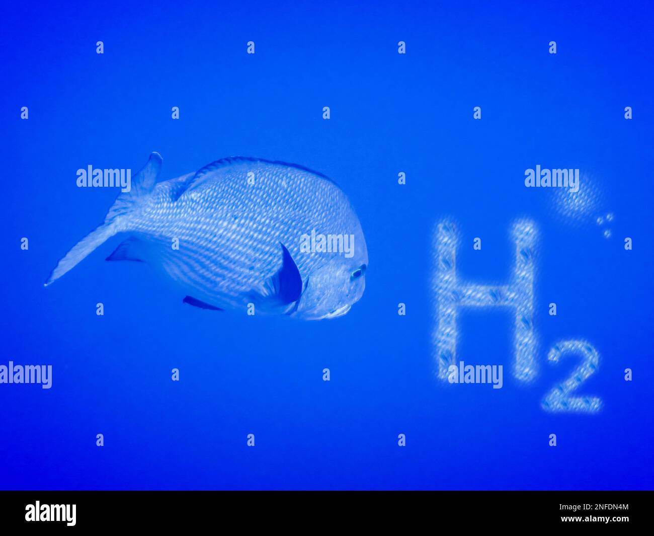3D illustration renewable pure energy h2 hydrogen letters and a large ...