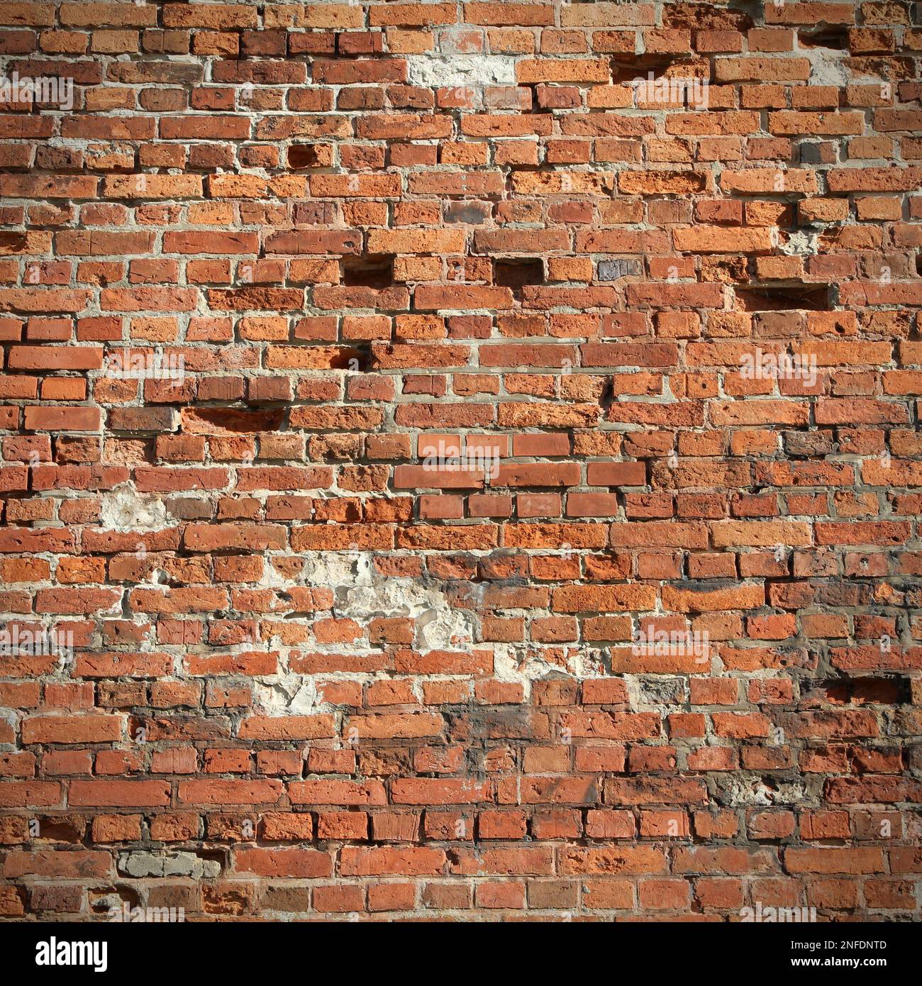 Red aged brick wall texture - Malbork castle, Poland. Square ...